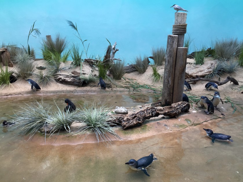 Nova York – Bronx Zoo – Viajento