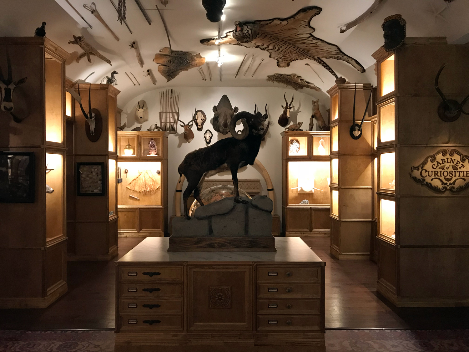 Houston – Museum District – Viajento