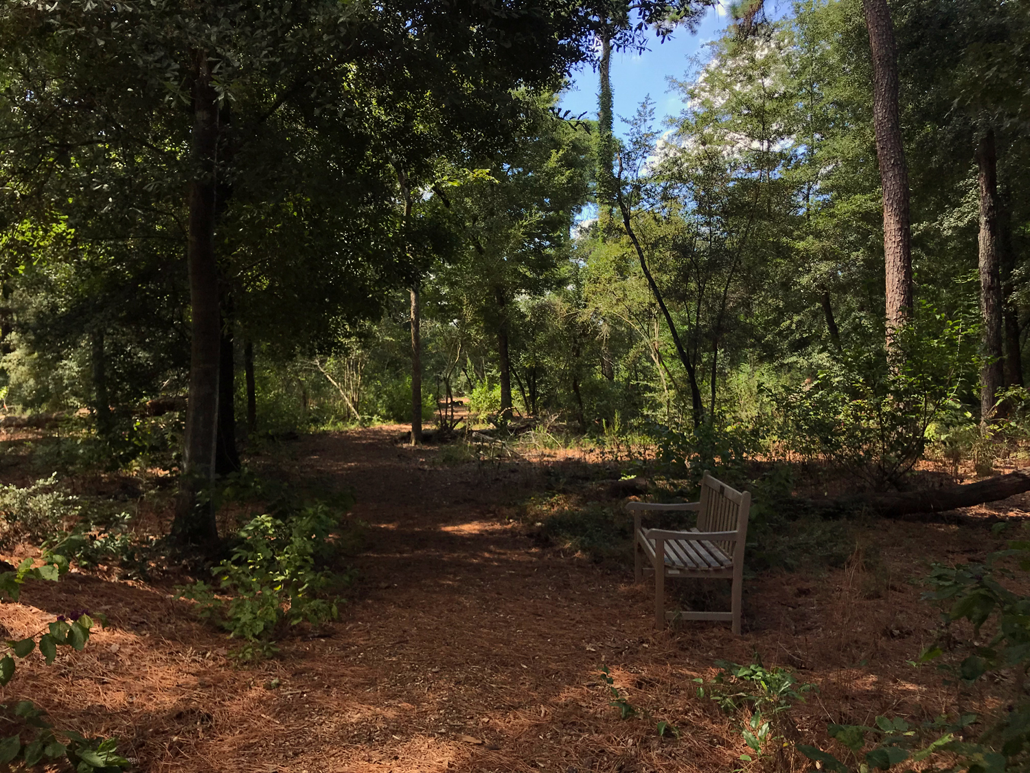 Houston – Arboretum & Nature Center – Viajento