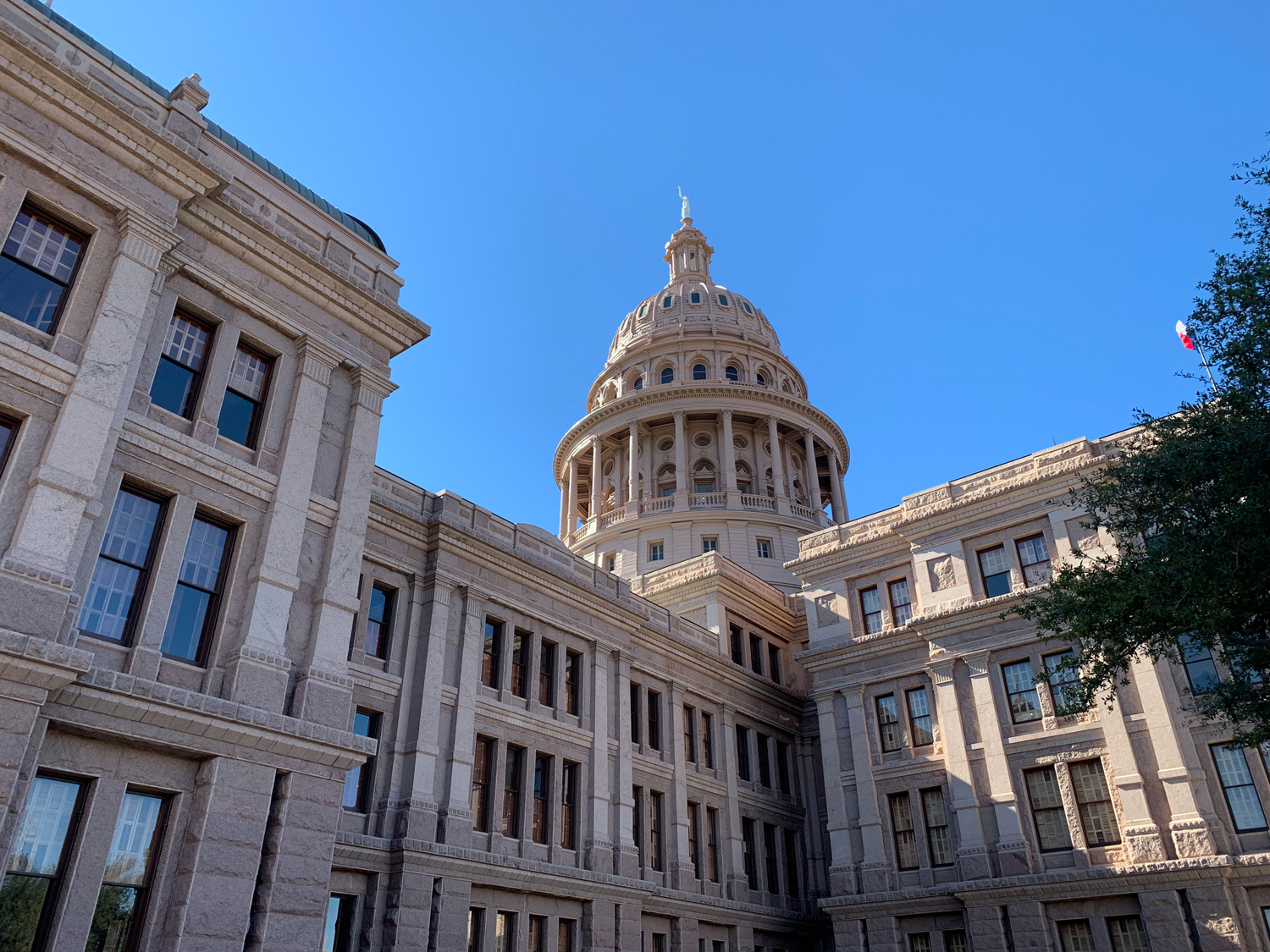 Austin – Passeio nos jardins do Capitol Grounds – Viajento
