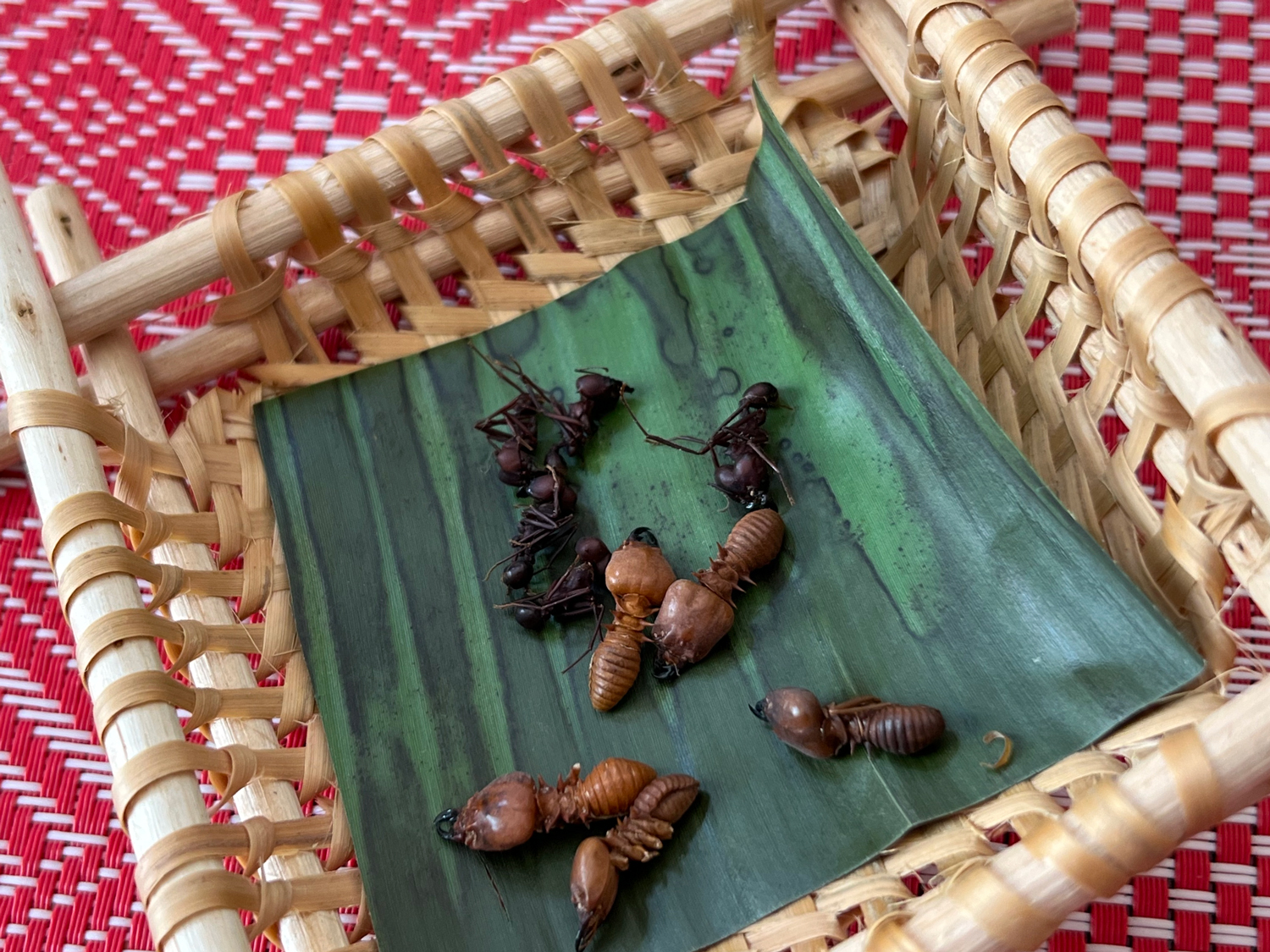 Manaus – Biatüwi: Casa de Comida Indígena – Viajento