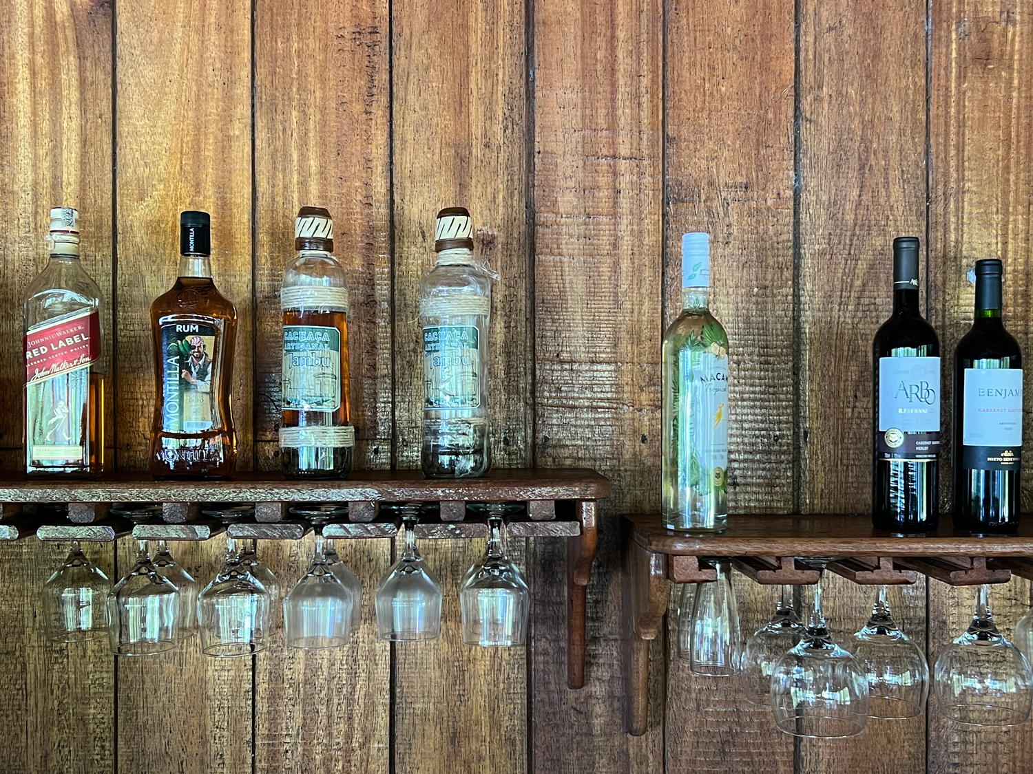 Floresta Amazônica – Dolphin Lodge – Viajento