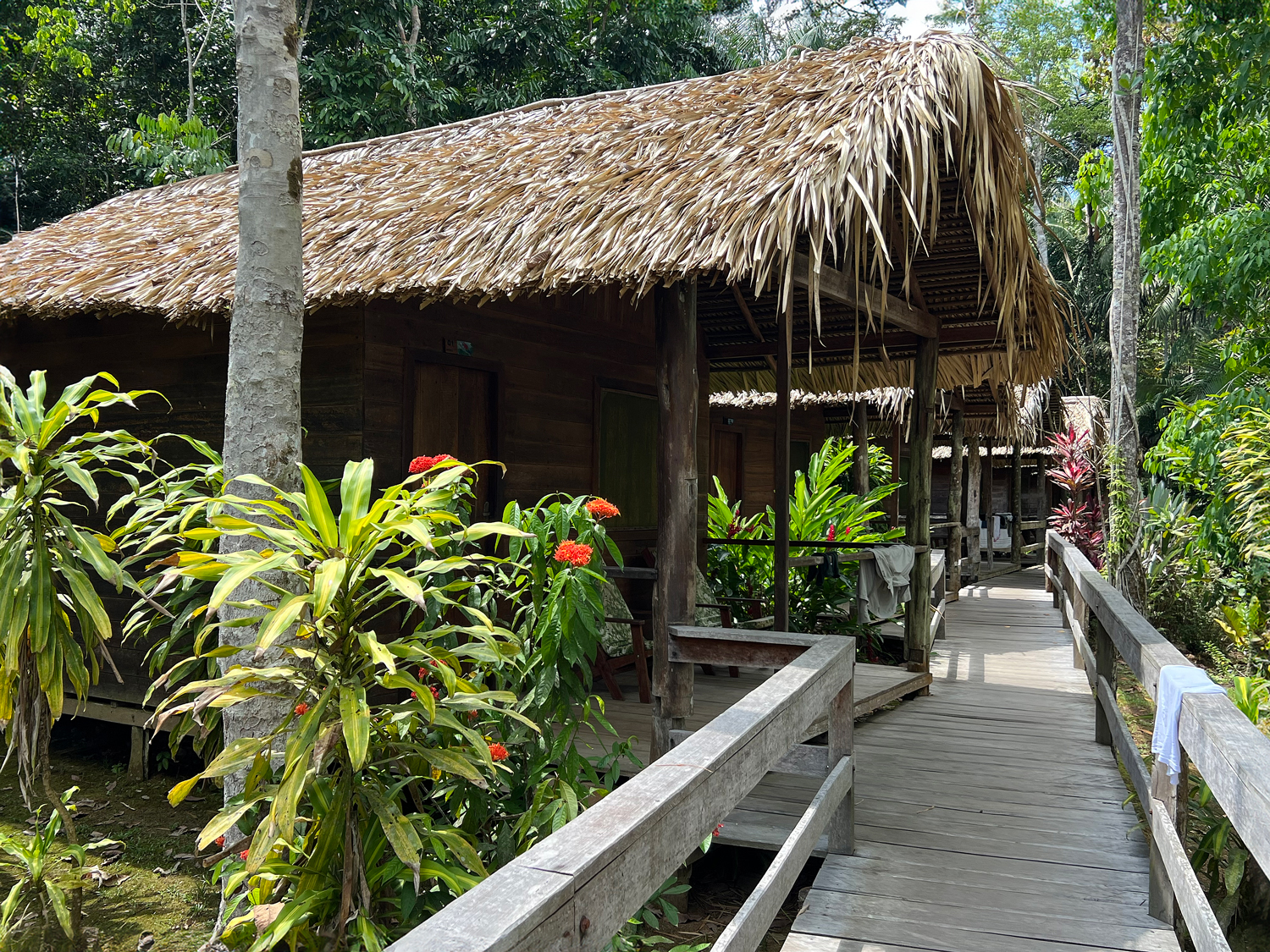 Floresta Amazônica – Dolphin Lodge – Viajento