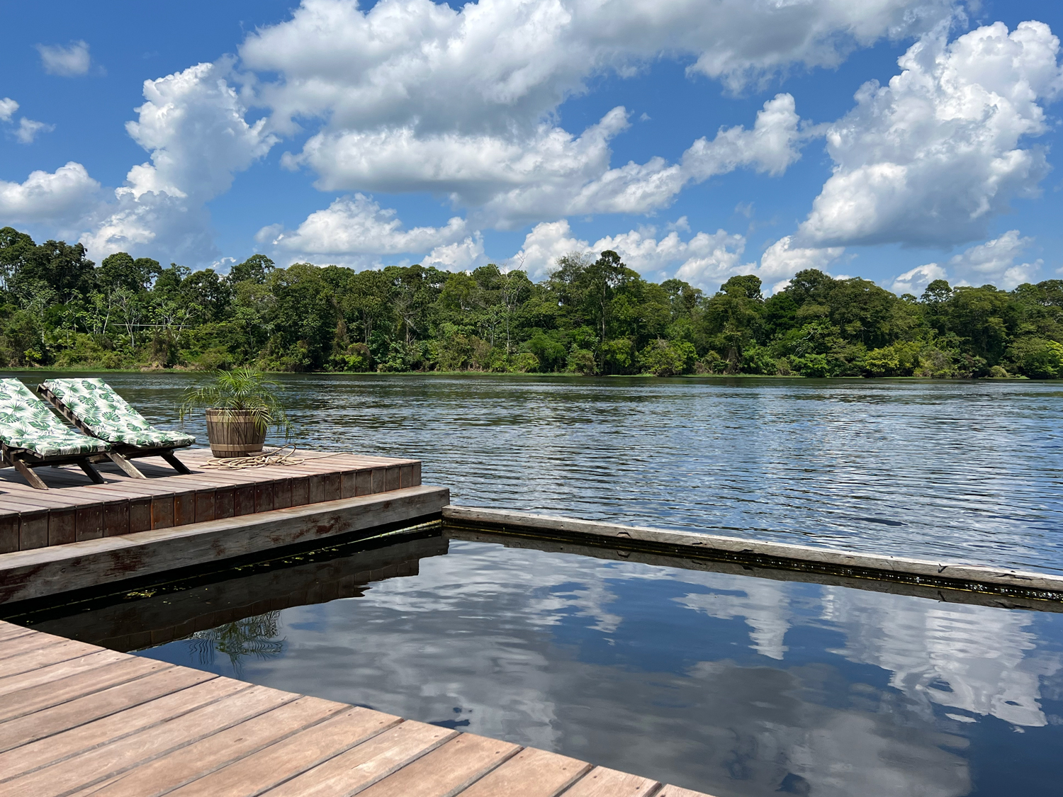 Floresta Amazônica – Dolphin Lodge – Viajento