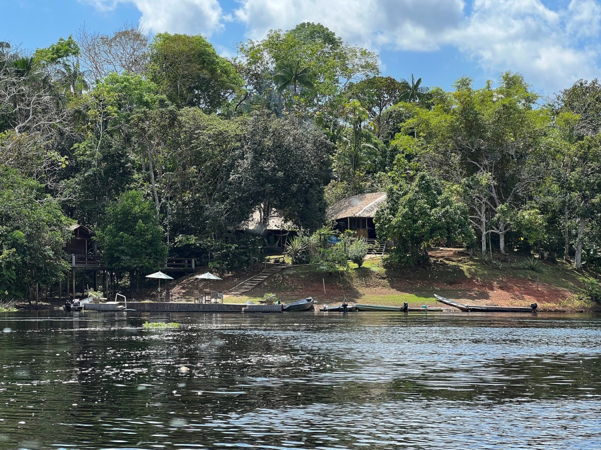 Floresta Amazônica – Dolphin Lodge – Viajento