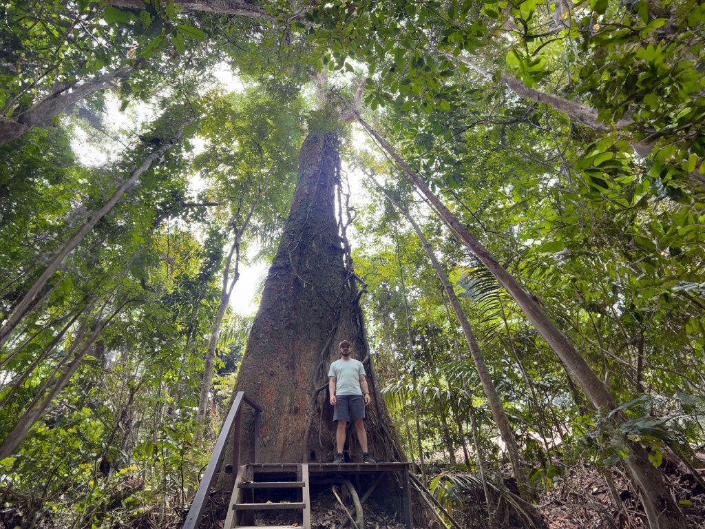 Manaus – Musa: Museu da Amazônia – Viajento