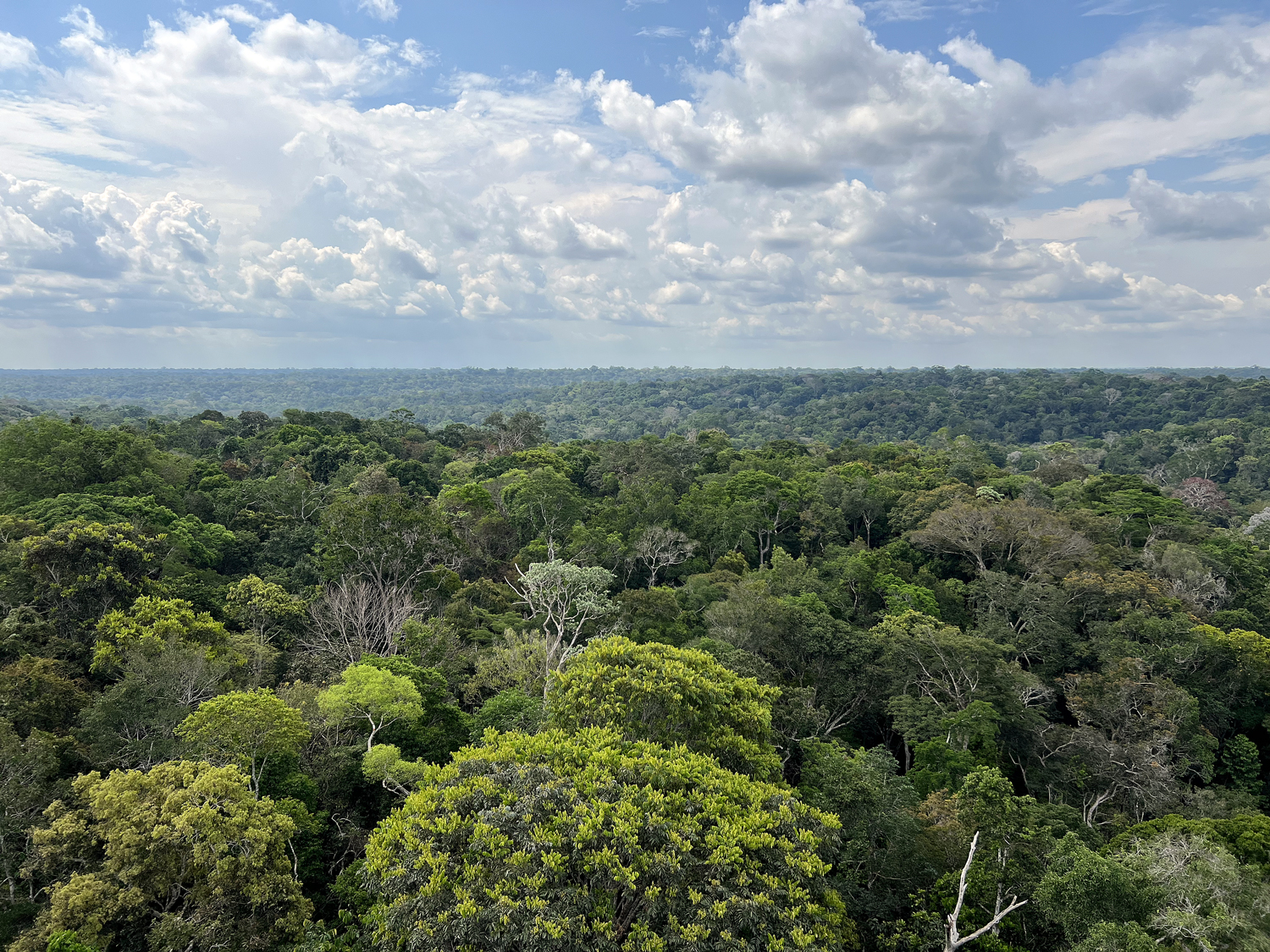 Manaus – Musa: Museu da Amazônia – Viajento