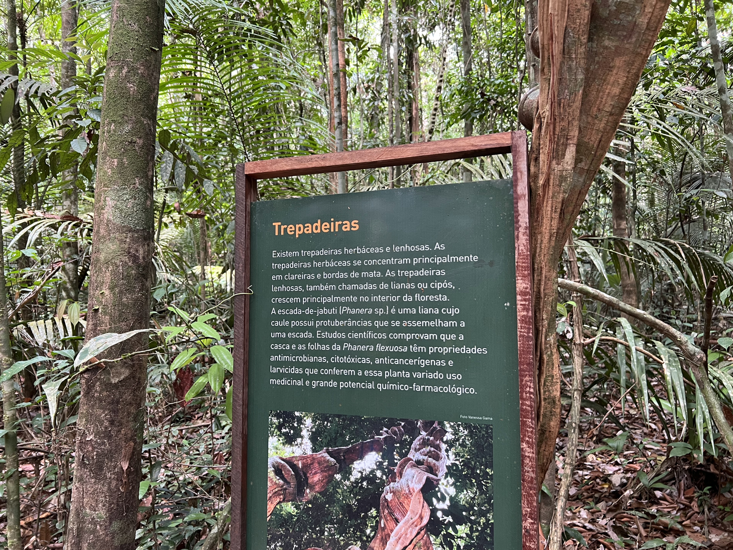 Manaus – Musa: Museu da Amazônia – Viajento