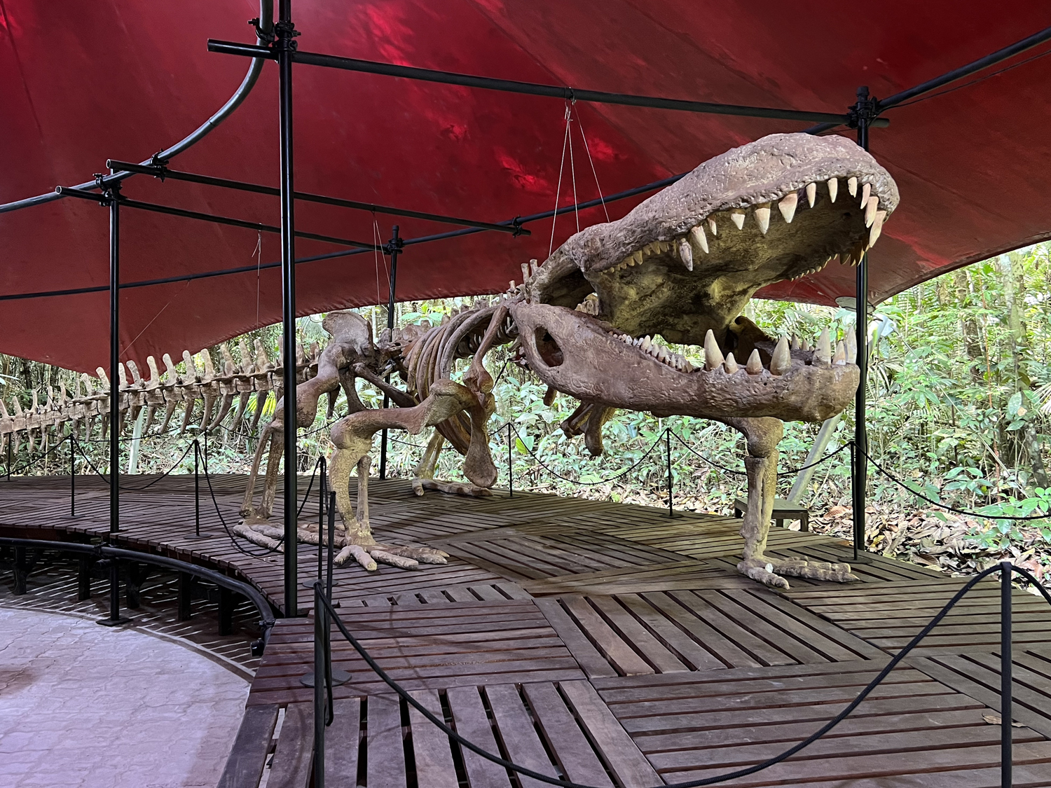 Manaus – Musa: Museu da Amazônia – Viajento