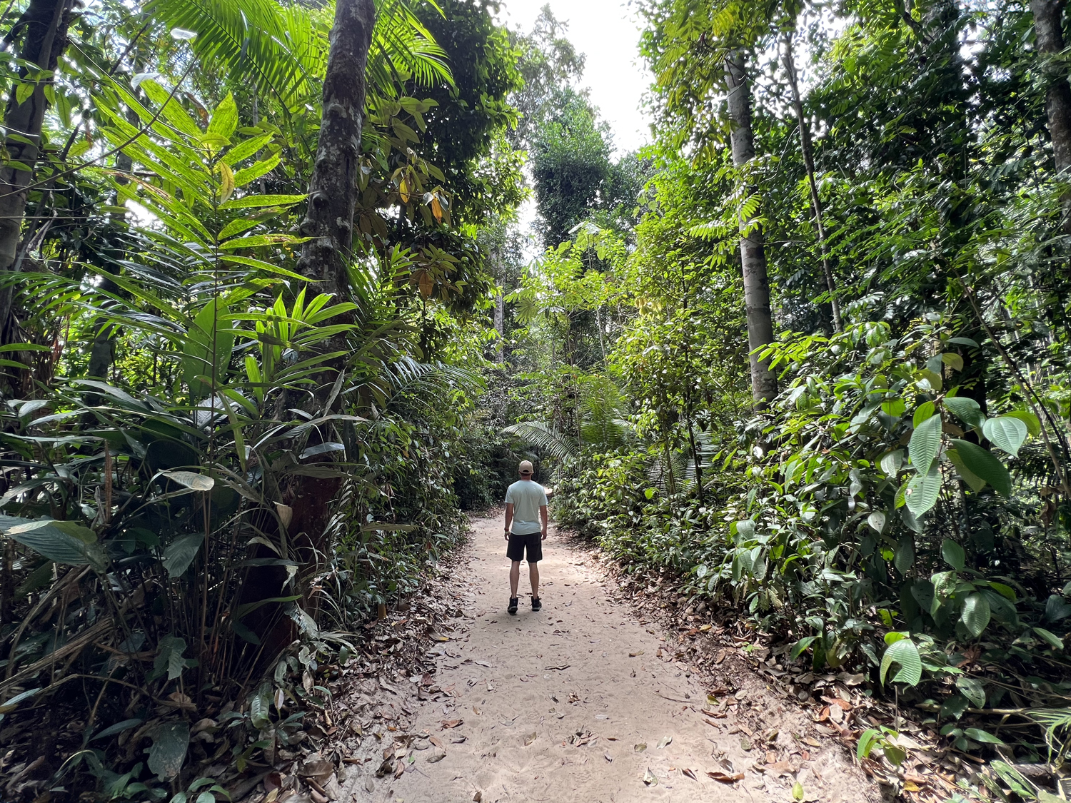 Manaus – Musa: Museu da Amazônia – Viajento