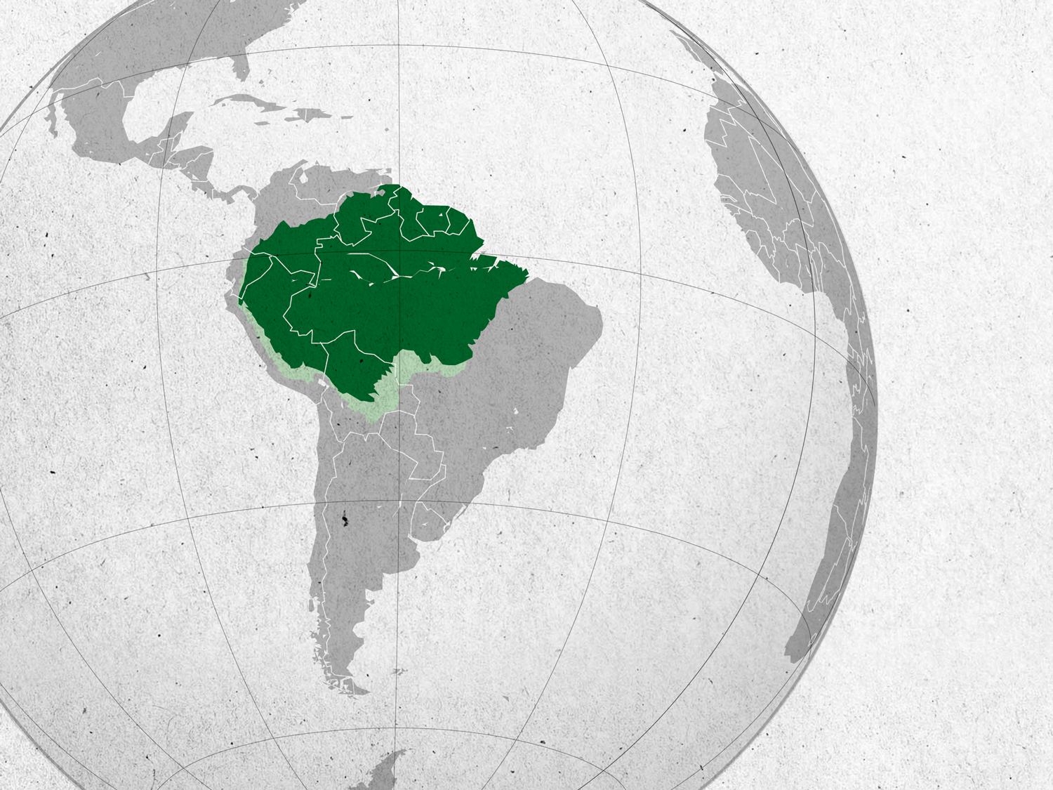 Floresta Amazônica – Senta que lá vem história – Viajento