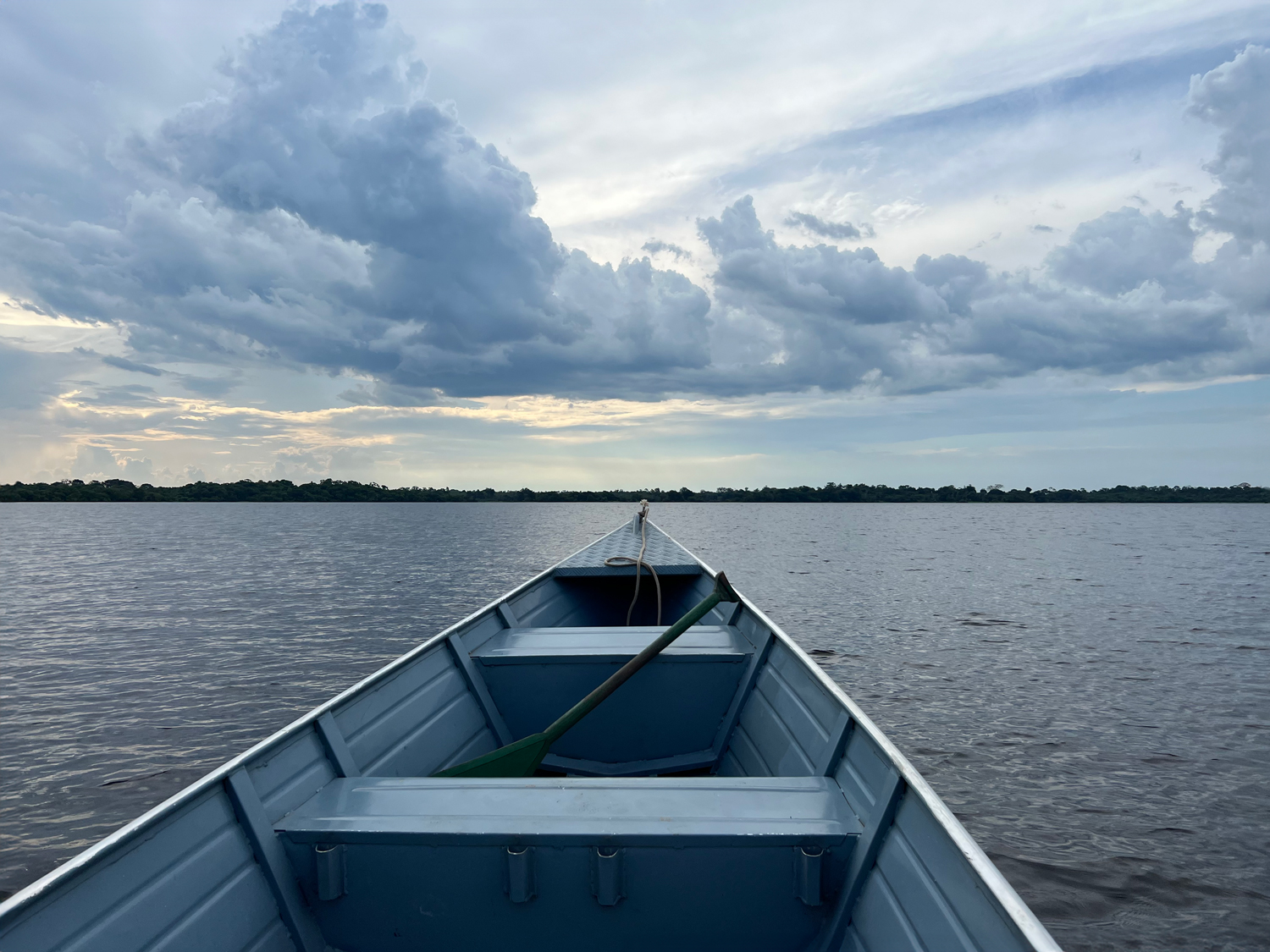 Floresta Amazônica – Árvore Samaúma – Viajento