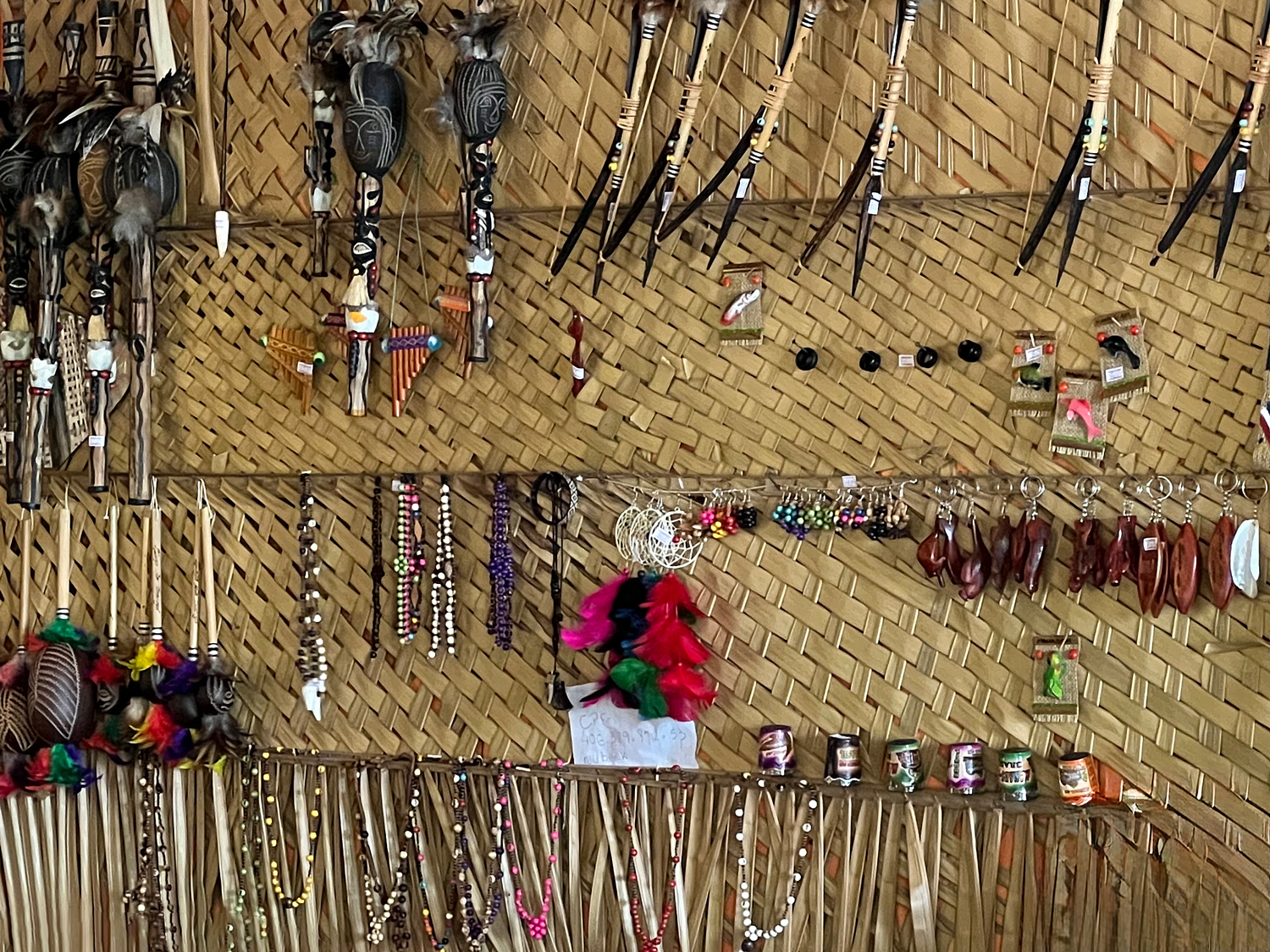 Floresta Amazônica – Visita à casa dos ribeirinhos – Viajento